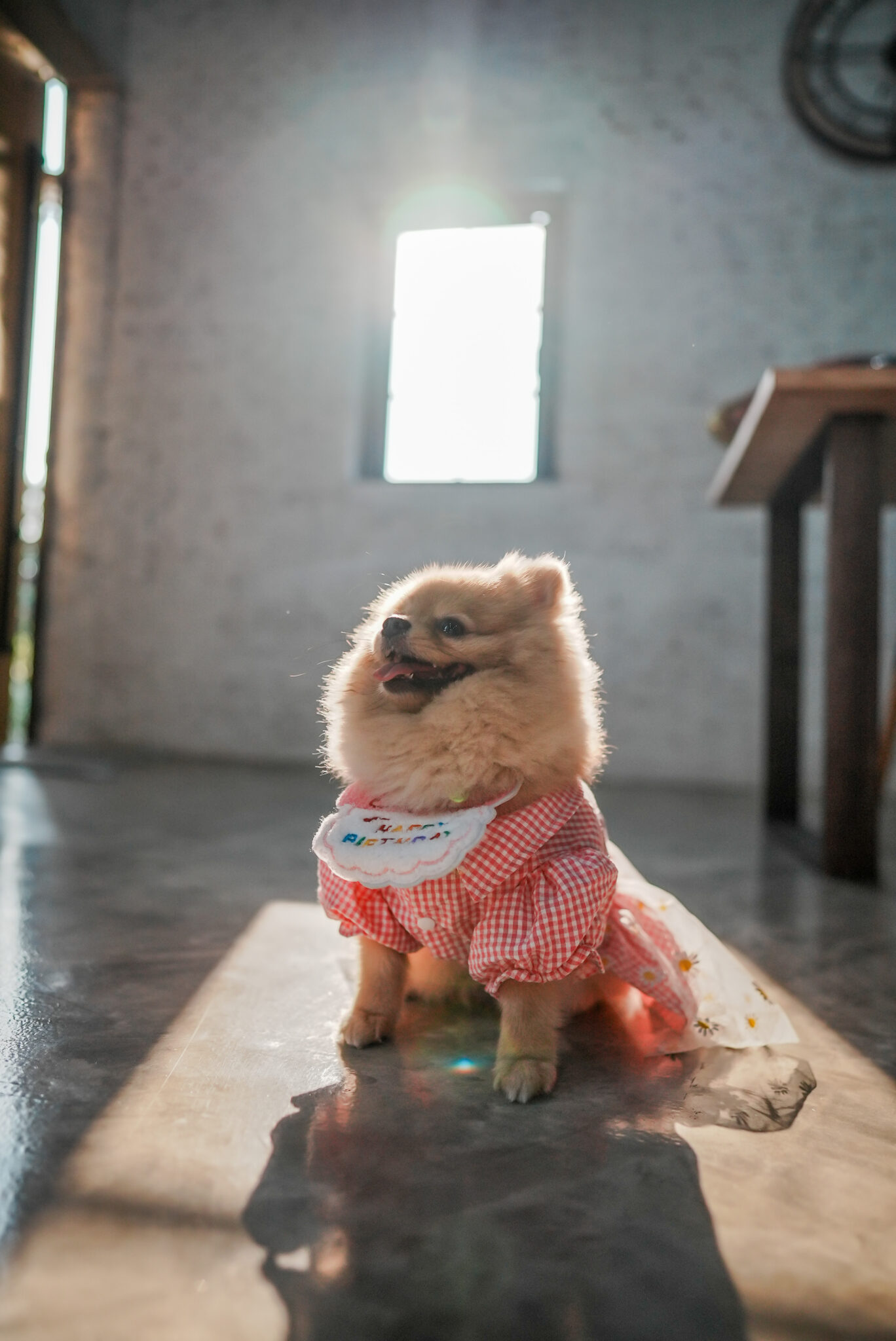 Photoshoot – Dimitri House & Studio